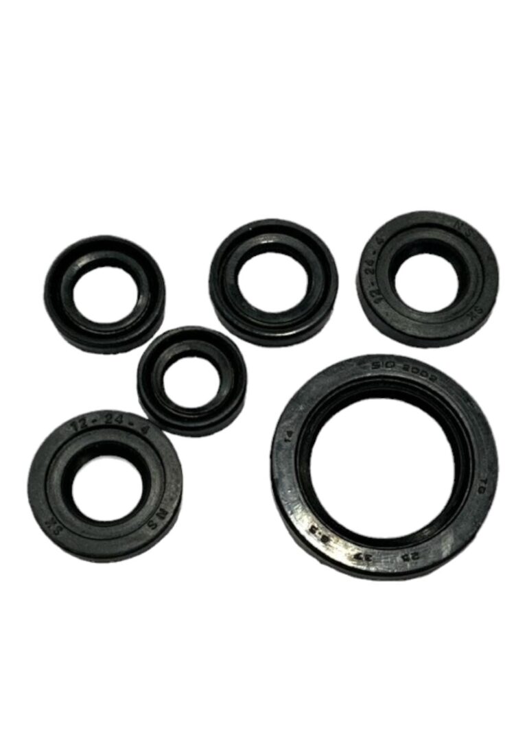 KIT RETEN MOTOR PULSAR NS200-RS200 - Assen Motos